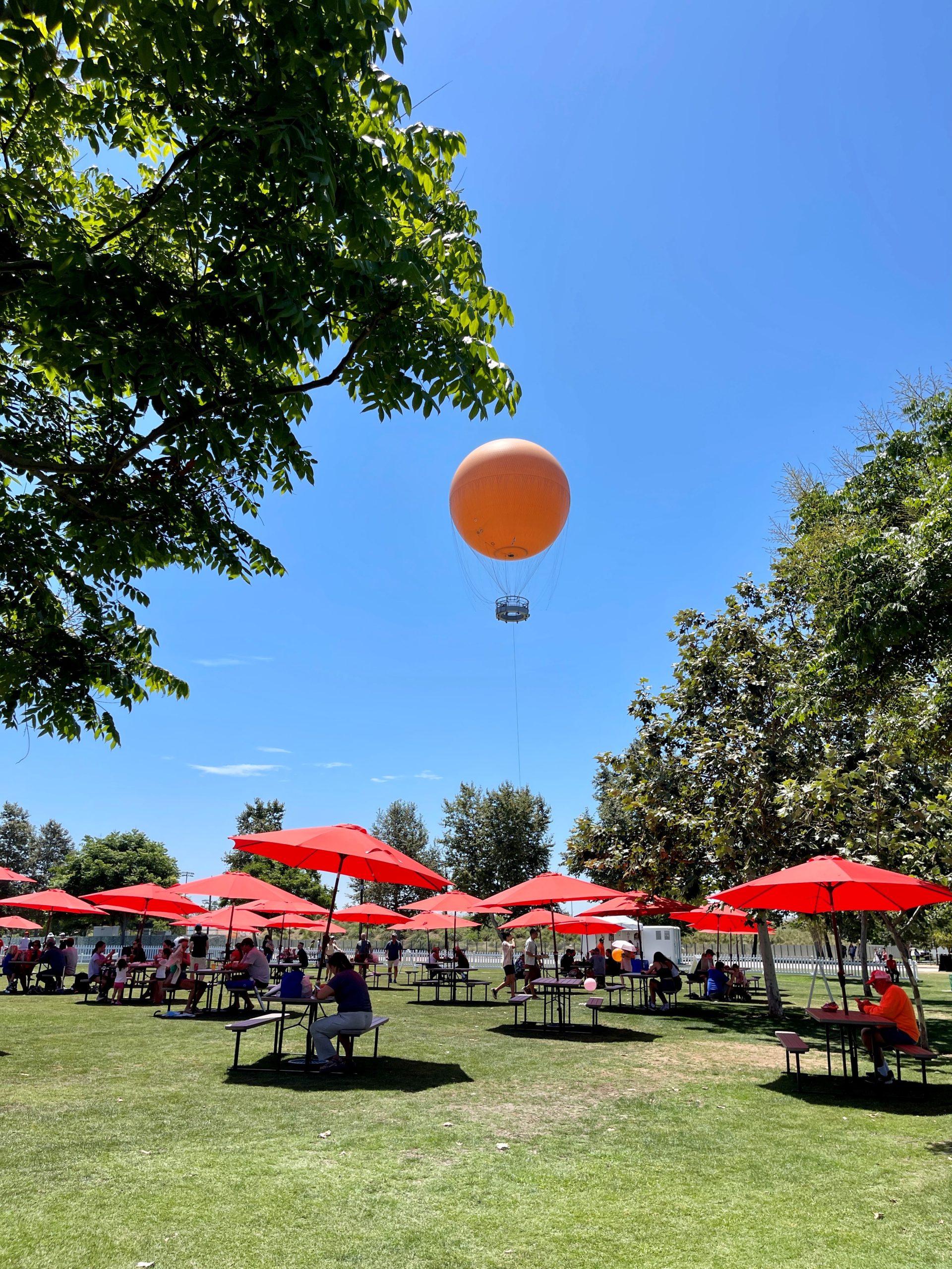 The Layover at Great Park: A Playground for All Ages - Destination Irvine