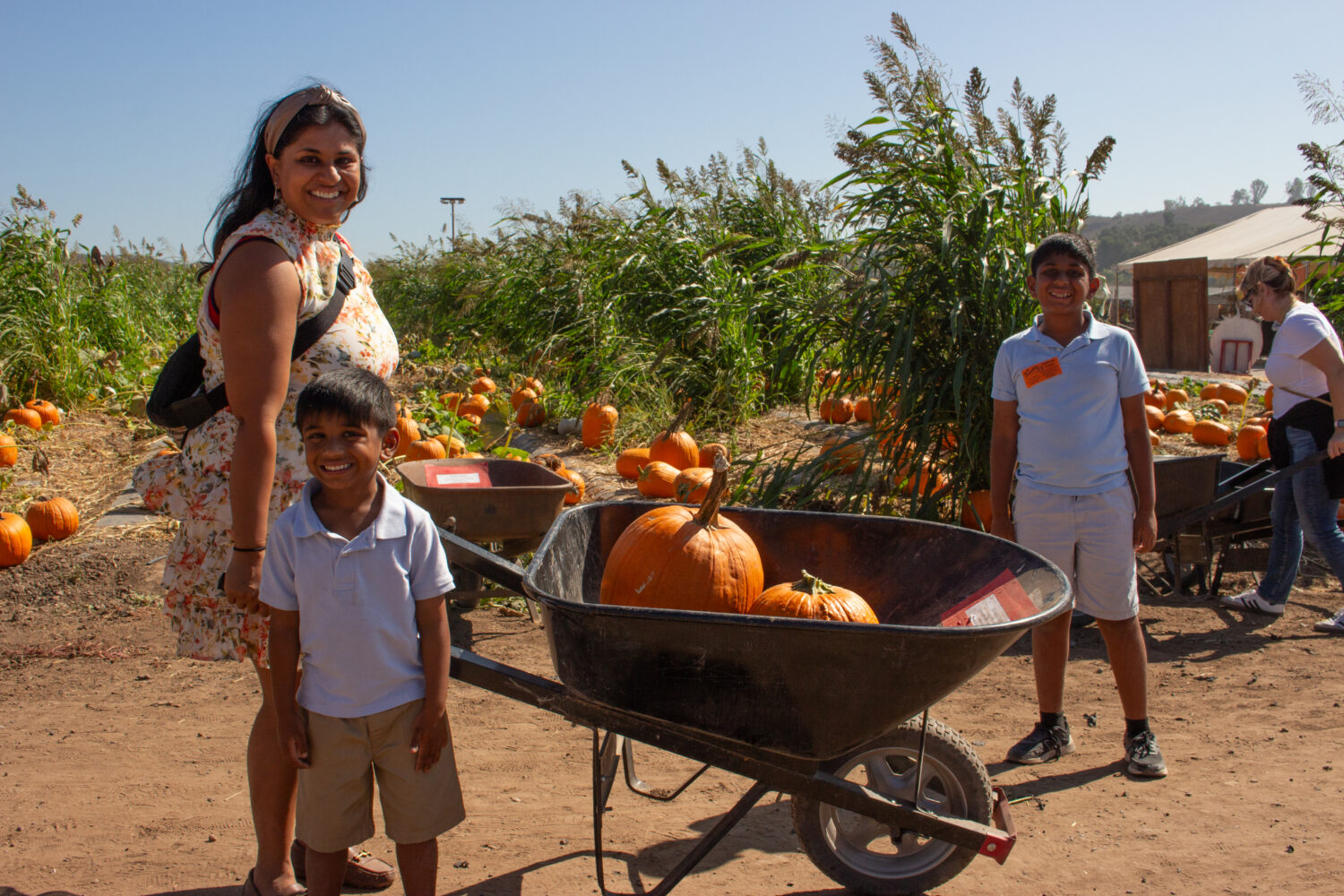 Tanaka Farms Irvine - Destination Irvine